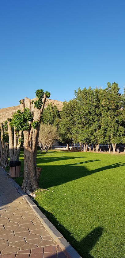 Trfihi Parks | Parks | medallion garden