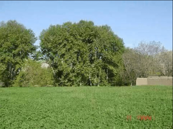 Trfihi Parks | Parks | Samnan Park