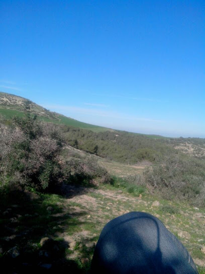 Trfihi Parks | Parks | Forêt de Tebourba