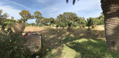 Trfihi Parks | Parks | Salambo Garden