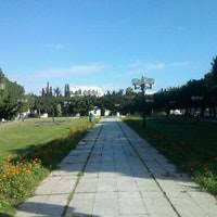 Trfihi Parks | Parks | Place Pasteur