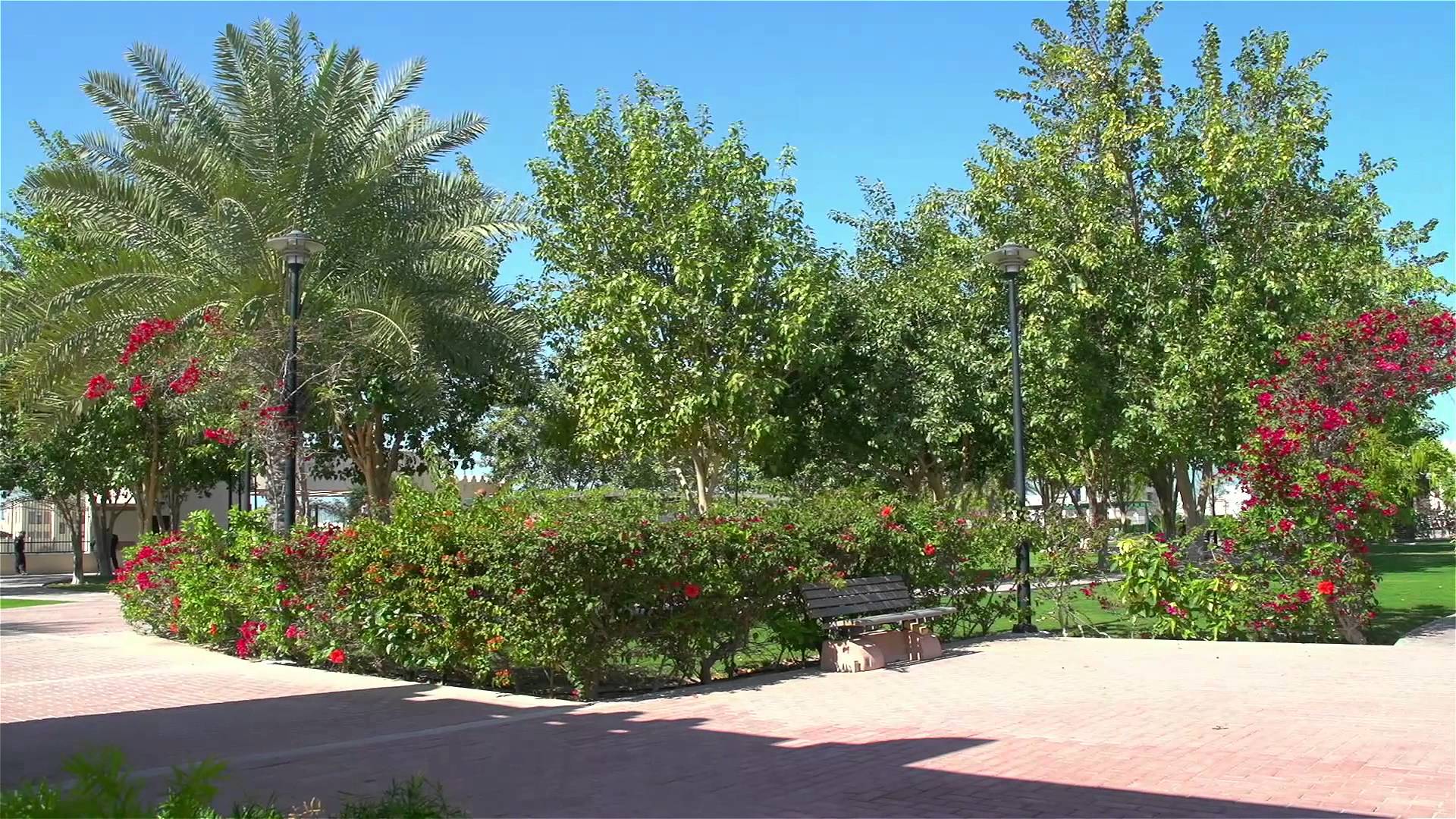Trfihi Parks | Parks | Al Ruwais Park