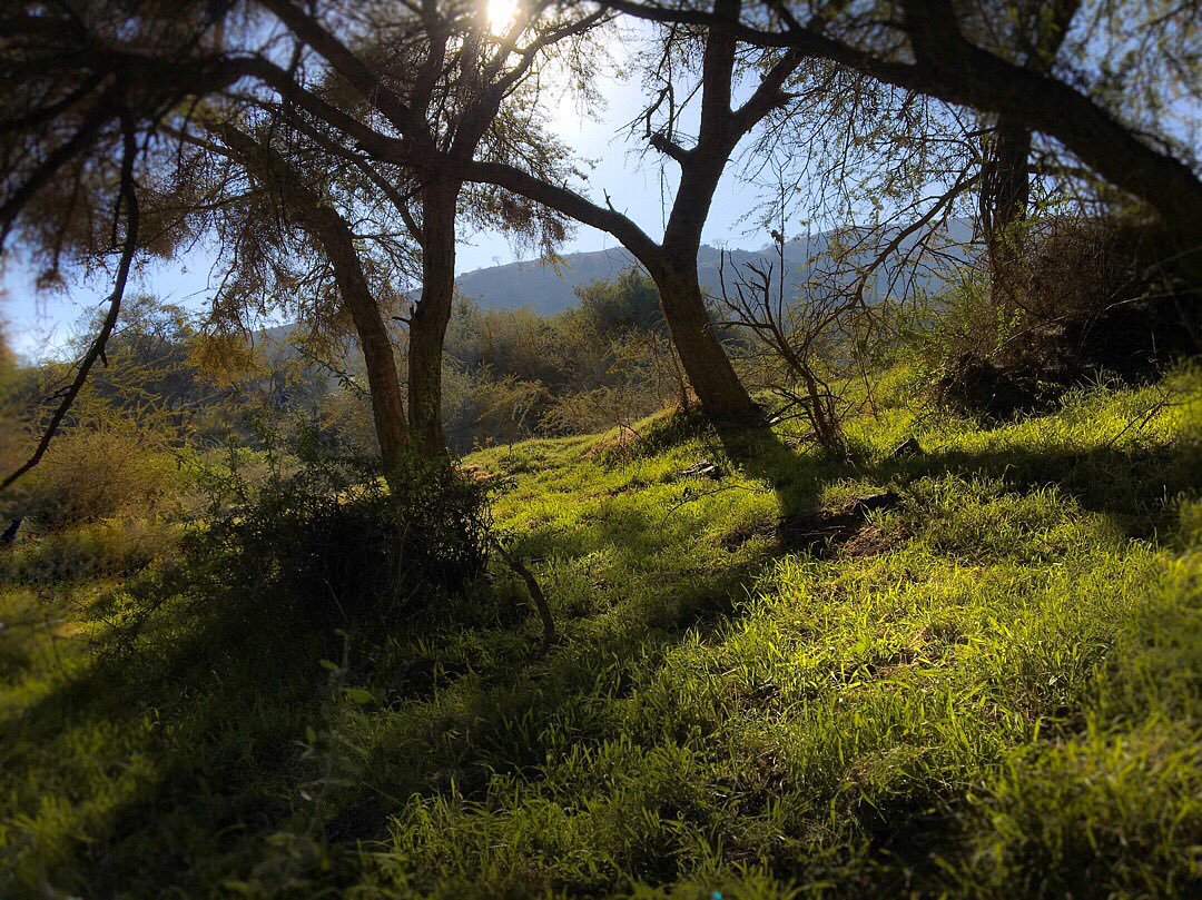 Trfihi Parks | Parks | Matwa Park