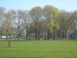 Trfihi Parks | Parks | Millfields Park