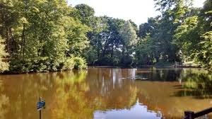 Trfihi Parks | Parks | Broadfield Park