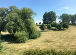 Trfihi Parks | Parks | Downham Fields