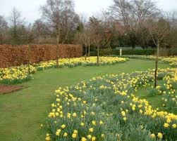 Trfihi Parks | Parks | Walkden Gardens