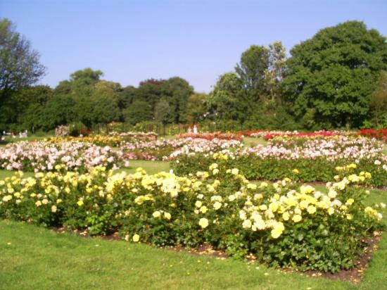 Trfihi Parks | Parks | Westbroekpark