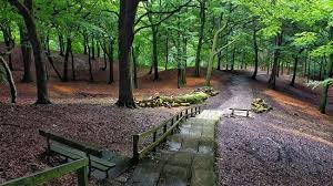 Trfihi Parks | Parks | Tandle Hill Country Park