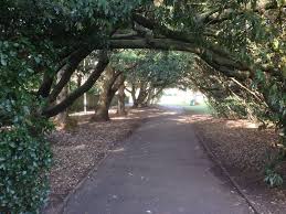 Trfihi Parks | Parks | Rosebery Park