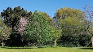 Trfihi Parks | Parks | Staines Park