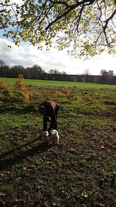 Trfihi Parks | Parks | Churchfields Recreation Ground