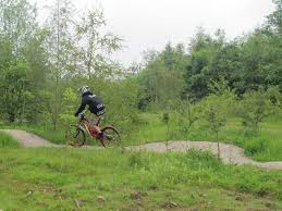 Trfihi Parks | Parks | Brierley Forest Park