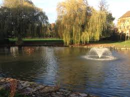 Trfihi Parks | Parks | Rosebery Park