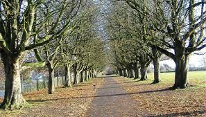 Trfihi Parks | Parks | Hamilton Gault park