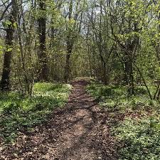 Trfihi Parks | Parks | Burbage Common and Woods