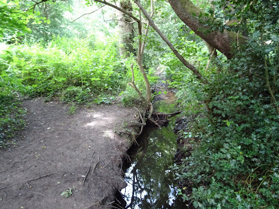 Trfihi Parks | Parks | Moseley Bog