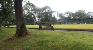 Trfihi Parks | Parks | Whitehead Park