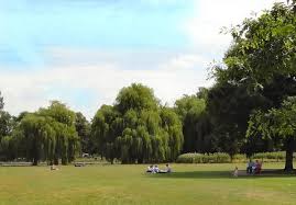 Trfihi Parks | Parks | Rosebery Park