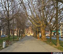 Trfihi Parks | Parks | Aleja Platanowa