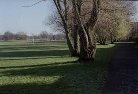 Trfihi Parks | Parks | Goldsworth Park Recreation Ground