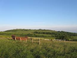 Trfihi Parks | Parks | The Gallops