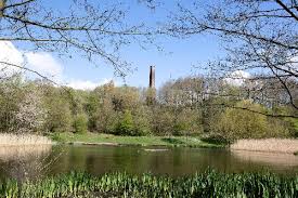 Trfihi Parks | Parks | Baggeridge Country Park