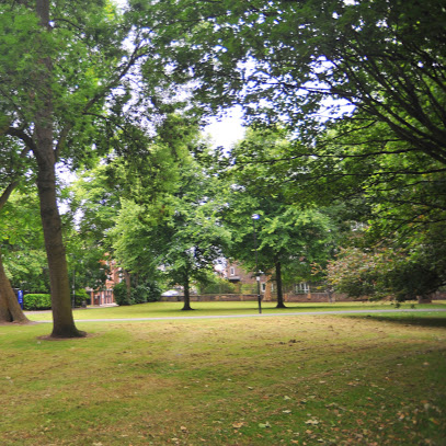 Trfihi Parks | Parks | Meath Gardens