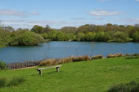 Trfihi Parks | Parks | Tilgate Park