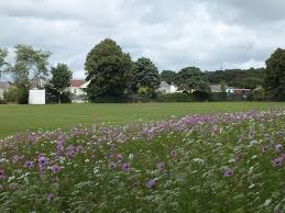 Trfihi Parks | Parks | Heol Las Park