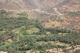 Trfihi Parks | Parks | Terka Ntshka Oasis