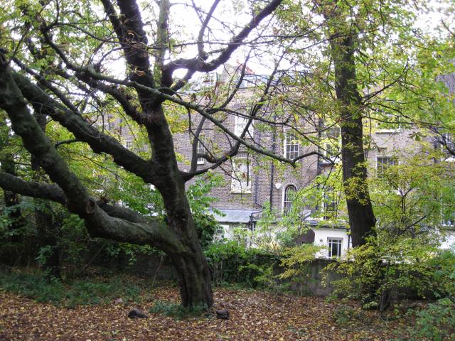 Trfihi Parks | Parks | Barnsbury Wood