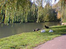 Trfihi Parks | Parks | Yeovil Country Park