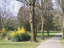 Trfihi Parks | Parks | Heol Las Park