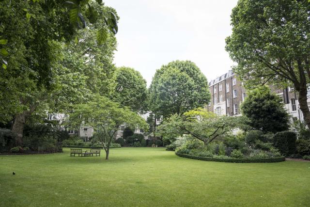 Trfihi Parks | Parks | Triangle Garden