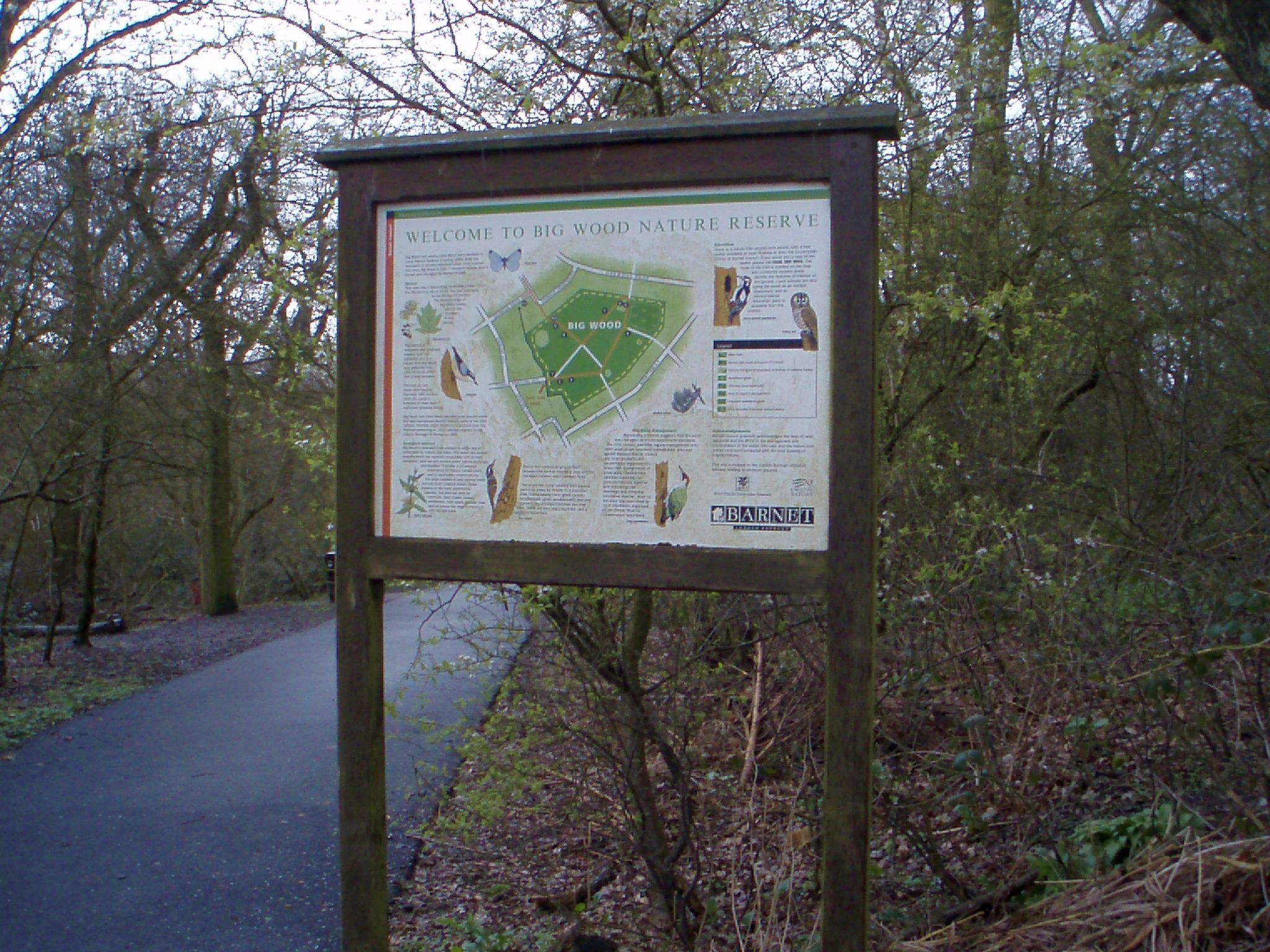 Trfihi Parks | Parks | Big Wood Nature Reserve