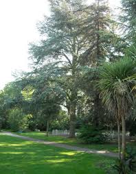 Trfihi Parks | Parks | Shadbolt Park