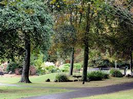 Trfihi Parks | Parks | Hotham Park