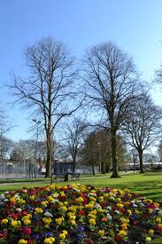 Trfihi Parks | Parks | Sutton Lawn