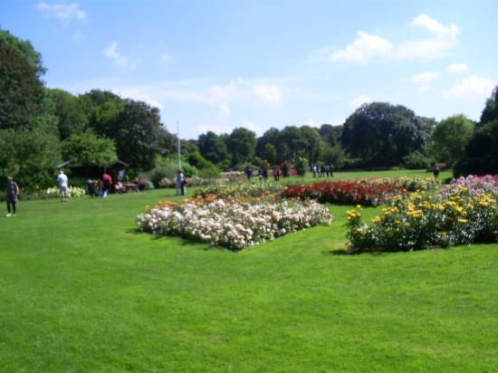حدائق ترفيهي | حدائق | Westbroekpark