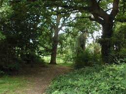 Trfihi Parks | Parks | Dosthill Park