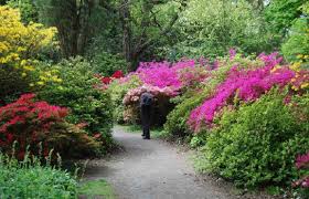 Trfihi Parks | Parks | Clyne Gardens