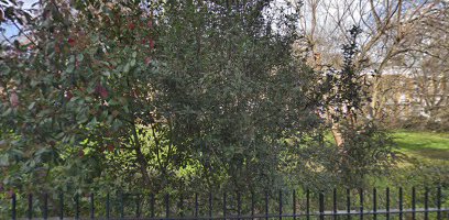 Trfihi Parks | Parks | Gloucester Circus