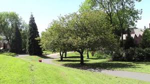 Trfihi Parks | Parks | Dukinfield Park